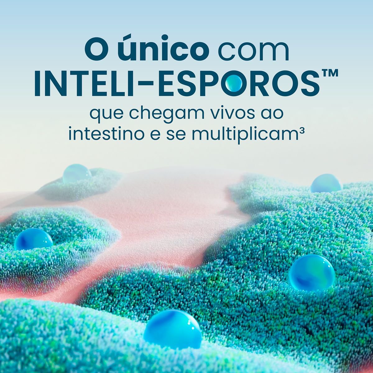 Enterogermina Plus 25ml – Probiótico para Saúde Digestiva Familiar ...